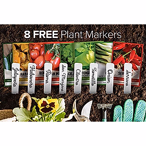Heirloom Hot Salsa Growing Seed Packets 8 Varieties Habanero, Jalapeno, Serrano Peppers, Roma, San Marzano Tomato, Cilantro, Green Onion, Tomatillo for Garden Non-GMO Heirloom Gardeners Basics