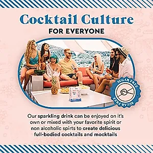 Hella Cocktail Co. Bitters & Soda Classic Dry Aromatic - 12oz Cans, 12 Pack I Aromatic, Botanical and Herbal Non-Alcoholic Drinks, Sugar-Free, Ready-to-Drink Mocktails