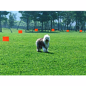 100 Pack Marking Flags 4-Inch by 5-Inch Stake Flags with 16-Inch Wire Staffs (Green)