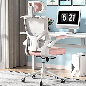 Ergonomic Office Chair, High Back Mesh Desk Chair with Molded Foam Cushion, Adjustable Headrest, Lumbar Support, Lock Function (Petal Pink)