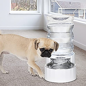 RIZZARI Automatic Pet Waterer,Gravity Stainless Steel Water Dispenser, 100% BPA-Free, Large Capacity Water Feeder for Cats and Small and Medium-Sized Dogs(6L)