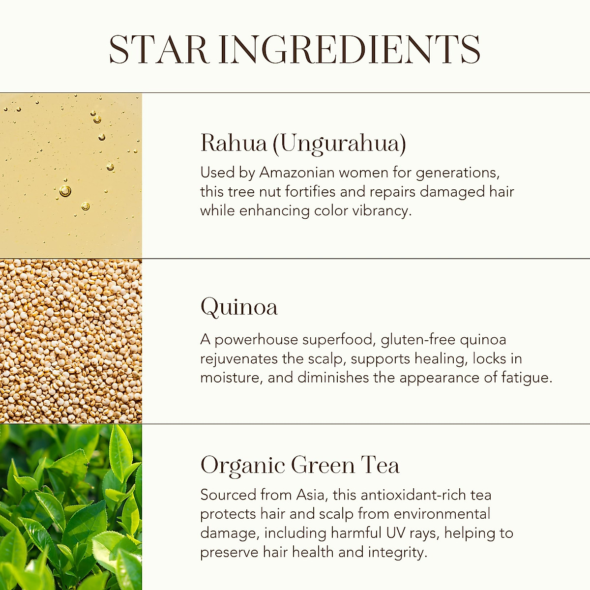 Rahua Leave In Hair Treatment, 2 Fl Oz, Anti Frizz Heat Protectant, Natural Hair Moisturizer for Hair Care, Softens Hair, Fine Hair Types, Nourishing Natural, Plant-Based Derived Ingredients