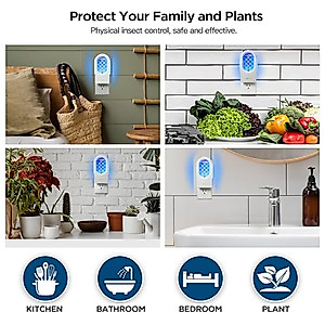 Fruit Fly Traps/Gnat Traps for Indoors(2 Devices+6 Refills), 2-in-1 UV＆Blue Light Plug-in Bug Trap, NAT Killer, Flying Insect Catcher Sticky Trap for Home House Fruit Flies, Moths, Mosquitoes, Fungus