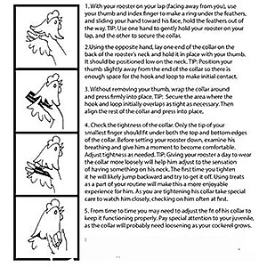 6 Pack No Crow Rooster Collar, Crow Collar Rooster Collar No Crow Noise Neck Belt for Roosters Cockerel Velcro Nylon Prevent Chickens from Screaming, Disturbing Neighbors1