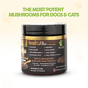 King Kanine Health Bundle: Strong Plus Hemp Protein & Probiotics & 7 Mushroom Blend & Chia Seeds - Natural Ingredients, Joint & Immune Support, Omega-3, Anti-Inflammatory, Safe for Dogs & Cat