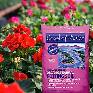 Coast of Maine Organic & Natural Bar Harbor Blend Potting Soil - Organic Soil w/Perlite for Enhanced Drainage & Aeration - for Flowers, Herbs & Veggies, Floral Baskets & Container Gardening (1 cu ft)