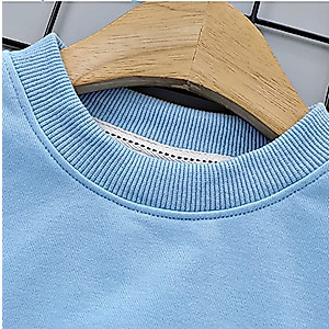Infant Toddler Baby Boy Girl Sweatshirt Pullover Hooded Pocket Warm Casual Cold Weather Sweatshirt Newborn Sweatshirts Blue
