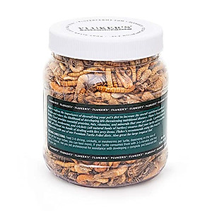 Fluker Labs SFK72020 Aquatic Turtle Medley Treat Food, 1.5-Ounce