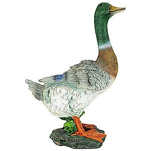 Design Toscano QM18989 Mallard Duck Animal Garden Statue, 13 Inch, Polyresin, Full color