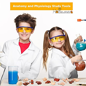 SGBETTER 16 Pack Human Organ Model Human Anatomy Toy Halloween Fake Simulation Human Body Parts for Kids Physiology Study Tools Halloween Decor, 8 Styles