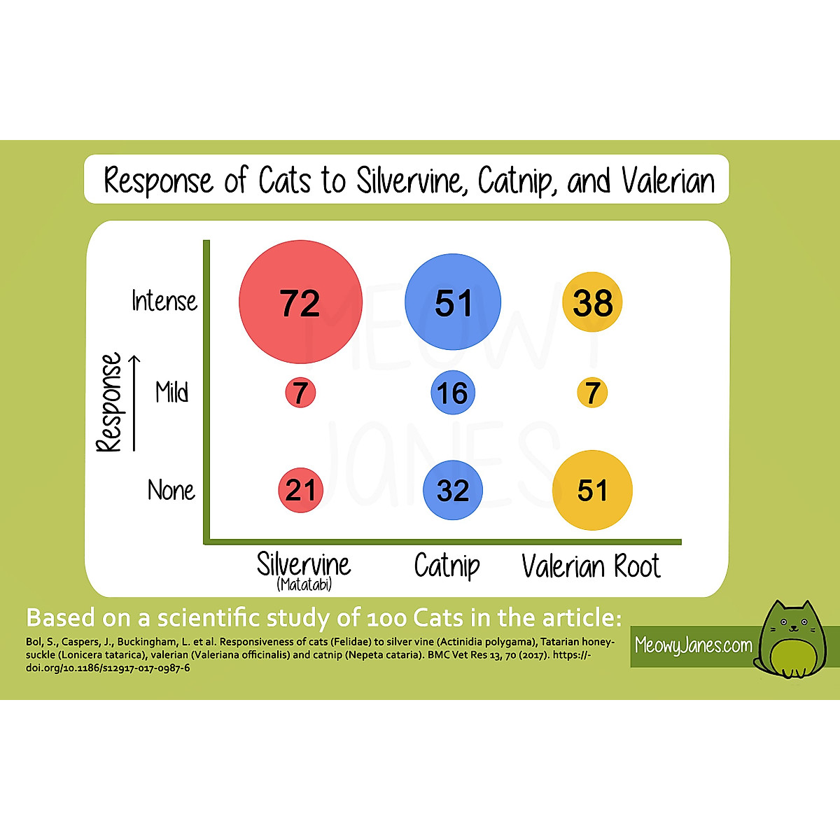 Meowy Janes Matatabi Chew Sticks - An All Natural Silvervine Cat Toy and Cat Treat - Catnip Alternative