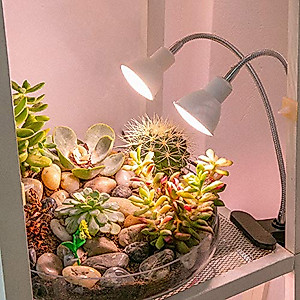 Aceple LED Grow Light, Dual Head Desk Clip Lamp for Indoor Plants with Full Spectrum, Adjustable Gooseneck and Timer Setting(6/10/12H)