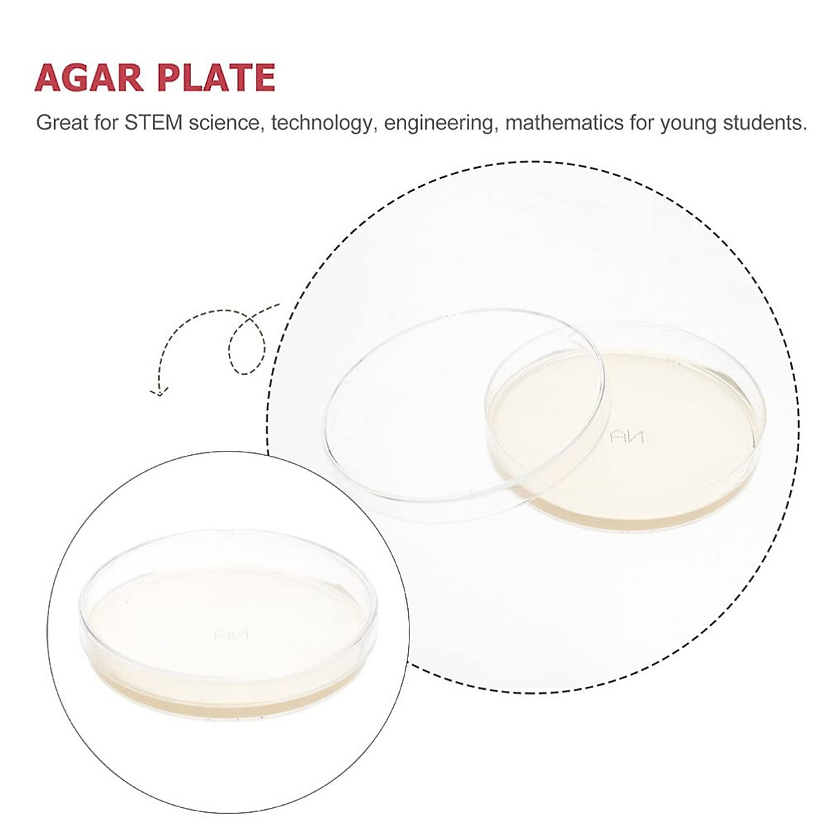 SOLUSTRE 10pcs Nutrient Agar Plate Petri Dish Petri Dish with Lid Agar Plates Culture Plate