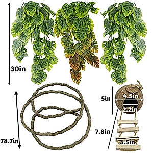 kathson Lizard Coco Den Gecko Coconut Husk Hut with Ladder Reptile Terrarium Plants Decor Hanging Lizards Hideouts Habitat Climbing Decorations Jungle Climber Vines for Chameleon 5 Pack