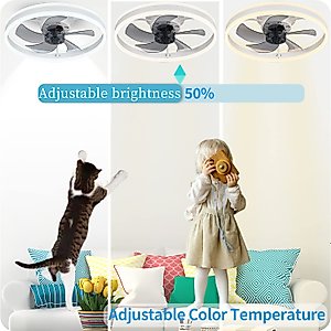 DewShrimp Flush Mount Ceiling Fan with Lights Bladeless Ceiling Fan with Bluetooth Speaker App and Remote Control Low Profile Ceiling Fan LED Stepless Dimming 3 Colors 6 Speeds Reversible 19.8