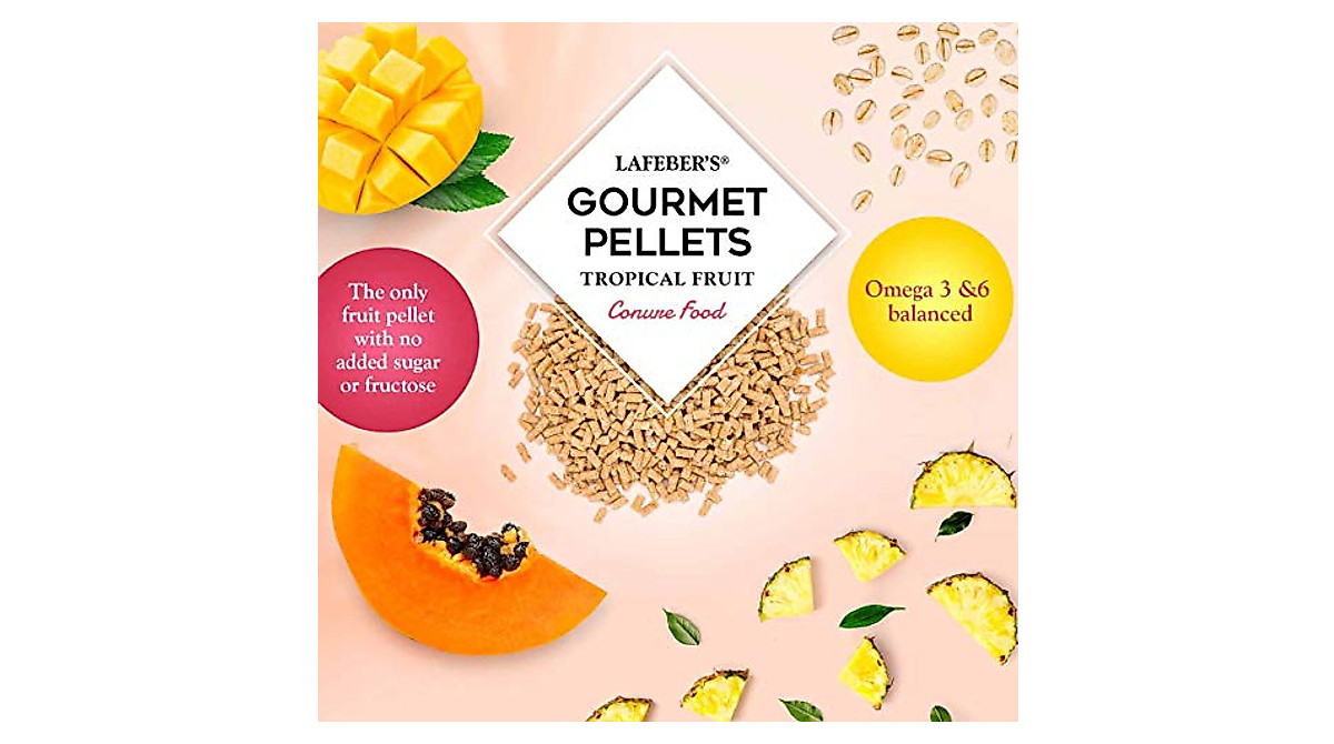 LAFEBER'S Tropical Fruit Pellets for Conures - 4 lb