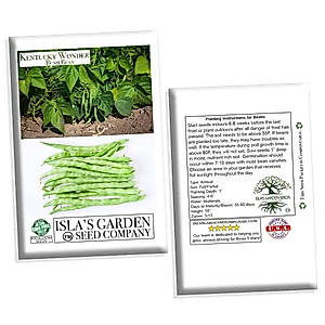 Kentucky Wonder Bush Bean Seeds for Planting, 30+ Heirloom Seeds Per Packet, (Isla's Garden Seeds), Non GMO Seeds, Botanical Name: Phaseolus vulgaris