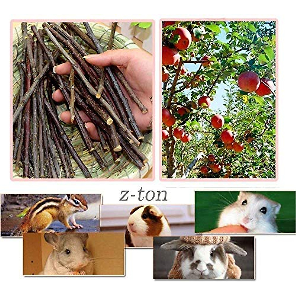 Z-TON Apple Sticks Pet Chew Toys for Chinchillas Guinea Pigs Rabbits Small Animals (100g)