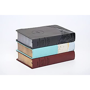 Santa Biblia NTV, Edición compacta, letra grande (SentiPiel, Menta, Índice, Letra Roja) (Spanish Edition)