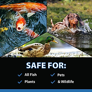 CrystalClear MuckOff, Natural Pond Muck Treatment, Water Garden, Fountain & Bird Bath Sludge Remover, Living Beneficial Bacteria Clarifier with Enzyme, Fish, Aquatic Animal, & Pet Safe, 48 Tablets