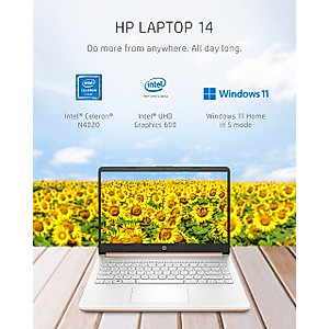 HP 14 Laptop, Intel Celeron N4020, 4 GB RAM, 64 GB Storage, 14-inch Micro-edge HD Display, Windows 10 Home, Thin & Portable, 4K Graphics, One Year of Microsoft 365 (14-dq0030nr, 2021, Pale Rose Gold)