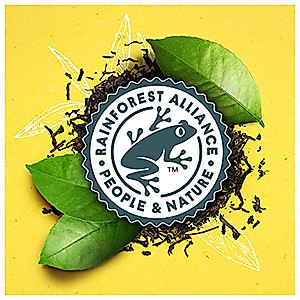 Lipton Tea Bags, Black Tea for Iced Tea or Hot Tea, 200 Count (Pack of 2)