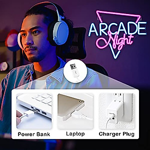 Looklight Arcade Night Neon Sign Game Room Decor,Light Blue Pink Led Neon Sign for Game Room USB Powered Led Sign Wall Decor for Room Party Gift， Aesthetic Room Decor,Arcade Decor,Gamer Room Decor