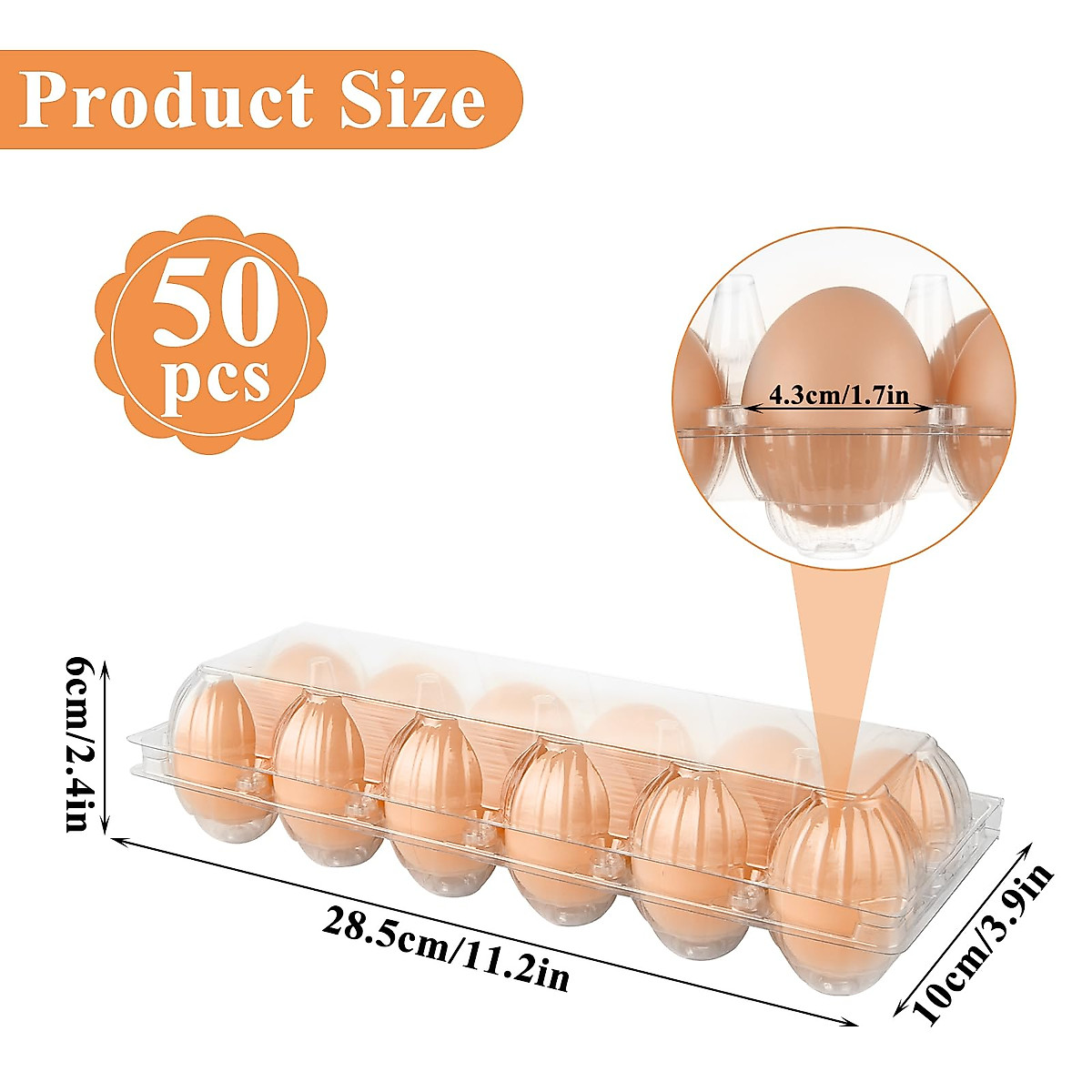 Oungy 50 Pack Plastic Egg Cartons Bulk 1 Dozen Clear Empty Egg Cartons Holds Up to 12 Eggs, Chicken Egg Cartons Reusable Egg Cartons Egg Tray for Family Chicken Farm Markets Display, 2x6 Grids
