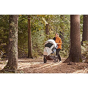 Sun and Bug Shield for Ridge