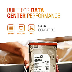 Seagate 4 TB Terascale HDD SATA 6Gb/s 64MB Cache 3.5-Inch Internal Bare Drive (ST4000NC000) (Renewed)
