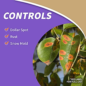 Bonide Captain Jack's Lawnweed Brew, 128 oz Ready-to-Use Spray with Power Wand, Fast-Acting Formula Controls Weeds, Moss, Algae, Lichens & Disease