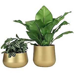 Vixdonos Gold Metal Flower Pots Brass-Toned Garden Planters, 7.1/6.3 Inch Indoor Round Succulent Containers, Pack 2 Cactus Plant Pots with Drainage Hole