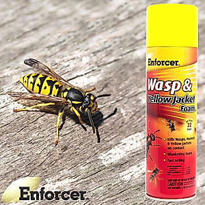 Enforcer Wasp & Yellow Jacket Foam V - 16 oz (Case of 12) - FWH16 - Kills Wasps, Hornets and Yellow Jackets