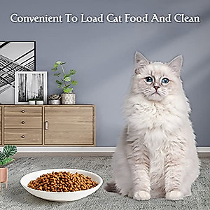 Peppapet Ceramic Cat Food Plates: Cat Wet Food Bowls/Whisker Fatigue Cat Dishes & Shallow Bowls for Kittens and Small Animals