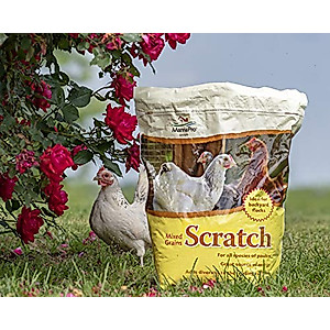 Manna Pro Ultimate Scratch Chicken Feed | Nutrient Rich Chicken Treat | 10 LB Chicken Scratch