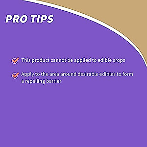 Bonide Chipmunk, Squirrel & Rodent Repellent, 32 oz Ready-to-Spray for Outdoor Use, Deter from Lawn & Garden