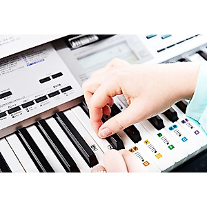 Best Reusable Large Color Piano Key Note Keyboard Stickers for Adults & Children’s, FREE E-BOOK, Great for Beginners Sheet Music Book, Teacher Recommended to Learn to Play Faster