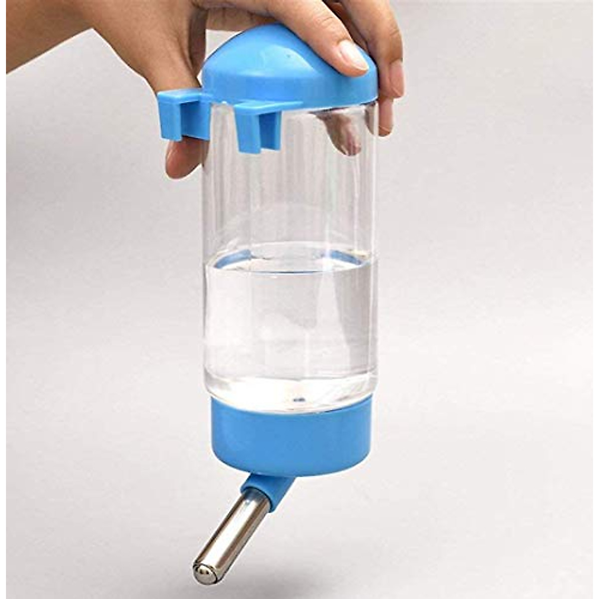 LAPXSNZD 2Pcs 16Oz No Drip Small Animal Water Bottle,Bpa Free Best Water Bottle for Small Pet/Bunny/Ferret/Hamster/Rabbit(Colors are Random)