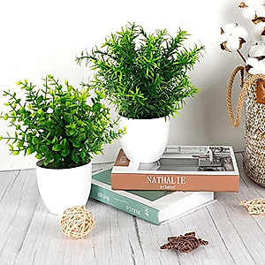 Whonline 2pcs Small Fake Plants, Mini Artificial Potted Plants, Faux Plants with Plastic Eucalyptus and Rosemary Leaves for Bathroom Shelf Home Table Desk Office Greenery Decorations