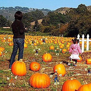 EBaokuup 10 PCS Halloween Scarecrow Decoration - 11.8 Inch Fall Harvest Scarecrow Thanksgiving Scarecrow Fall Harvest Standing Scarecrow Decor for Autumn, Halloween, Garden, Yard Decoration