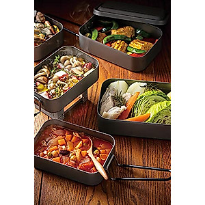 Skater AFTM10N-A Mestin, No Seasoning Required, Rice Rice, Rice, 33.8 fl oz (1,000 ml), Live in Net