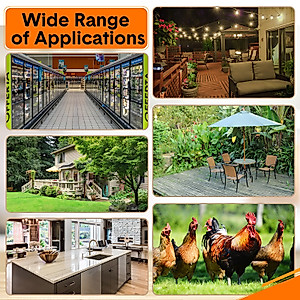 Qualirey 8 Pcs Humane Mouse Traps No Kill Rat Traps Catch and Release Reusable Mouse Traps Indoor for Home Waterproof Outdoor Mice Bait Tunnel Stations, Bait Not Included, Suitable for Small Mice