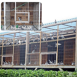 Junniu 15.7in/40cm Pigeon Cage Door One Way Entrance Door Bird T-Trap Birdcage Iron Wire Trap Door for Racing Pigeon Bird Cage Breeding Supply, 15.7in (40cm)