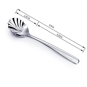 Csinos 304 Stainless Steel Spoon Shell Shape Flatware Spoon Dessert Spoon Set of 6
