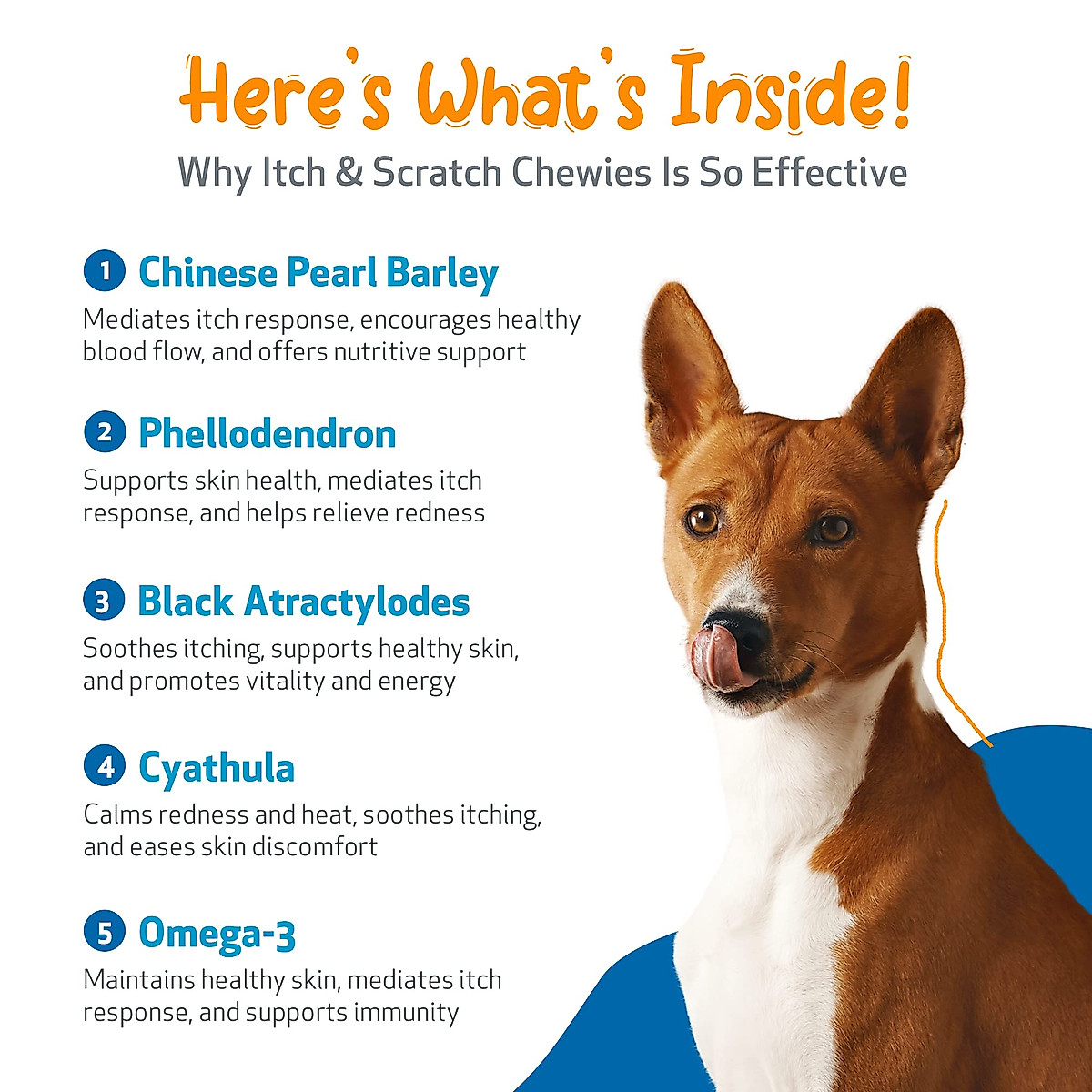 Pet Wellbeing Itch & Scratch Chewies or Dogs - Vet-Formulated - Itchy Skin & Paws, Hot Spots, Redness - 90 Soft Chews