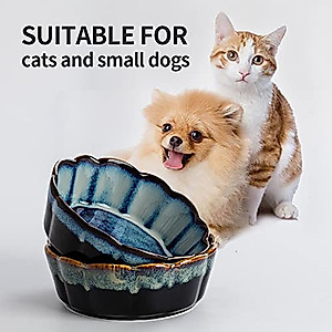SIDUCAL Ceramic Cat Bowls, 5 Inch Cat Bowls for Food and Water, Non-Slip Cute Pet Feeding Bowls for Cats and Small Dogs, Nice Glazed, Oven Microwave Dishwasher Safe(Blue/Green-2 Packs)