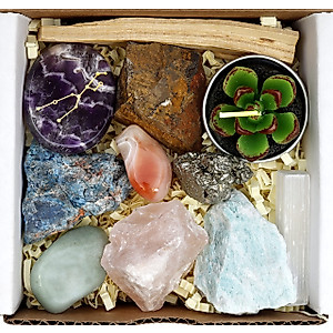 DANCING BEAR Taurus Zodiac Healing Crystals Gift Set (14 Pc): 9 Stones, 18K Gold-Plated Constellation Necklace, Meteorite, Succulent Candle, Palo Santo Smudge Stick & Info Guide, Made in The USA
