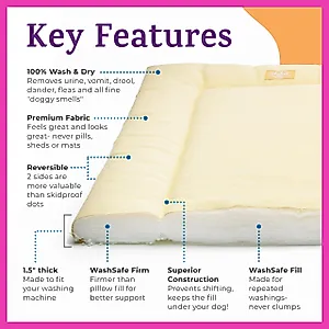 Pet Dreams Dog Crate Pad - Washable Kennel Mat, Crate Pads for Dog Cages, Non-Toxic, Flat Indoor Cat Bed, Fits iCrate 18, 24, 30, 36, 42, 48 Inches (Ivory, X Small, 18")