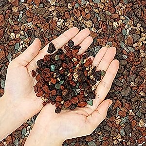 5.7lb Mix Horticultural Lava Rock Pebbles-Decorative Landscaping Gritty Rocks,Pumice Potting Soil Amendment,Additive for Succulent,Cactus Bonsai,Vase Fillers,Terrarium,Fairy Gardening,Top Dressing.