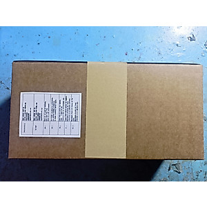 RONTEN Human Torso Body Model, 11inch 4D Medical School Educational Display Tool for Medical Student Learning